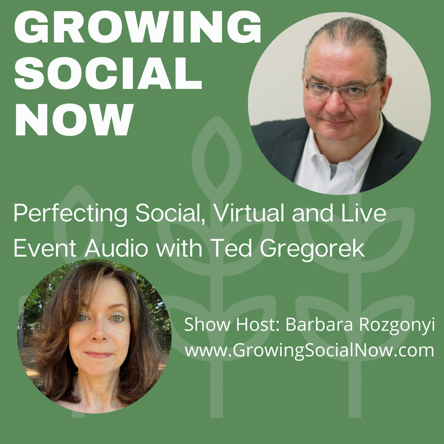 How to Perfect Audio: Social, Live and Virtual with Ted Gregorek - wiredPRworks
